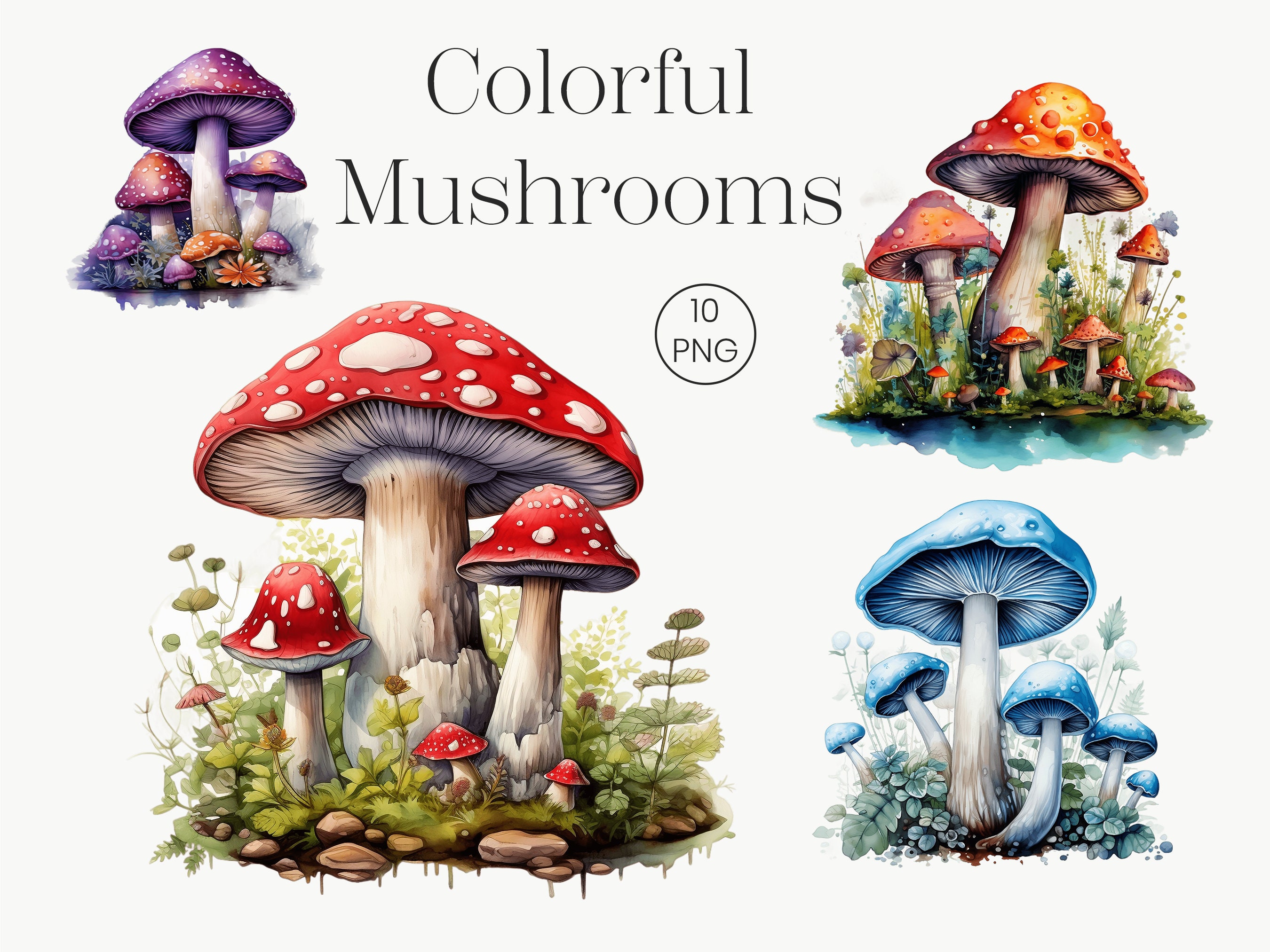 Watercolor Mushroom Clipart | Fantasy Forest Art (10 PNG) - Etsy