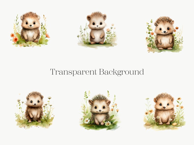 Watercolor Hedgehog Clipart, Woodland Animals, Nursery Art (digital ...