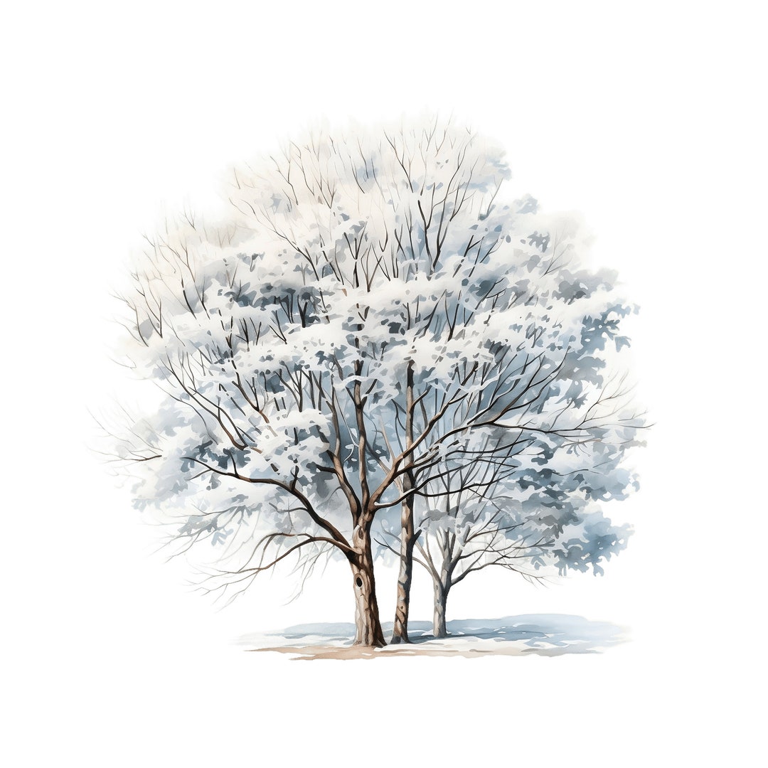 Watercolor Winter Clipart Watercolor Winter Trees 10 JPG Woodland ...
