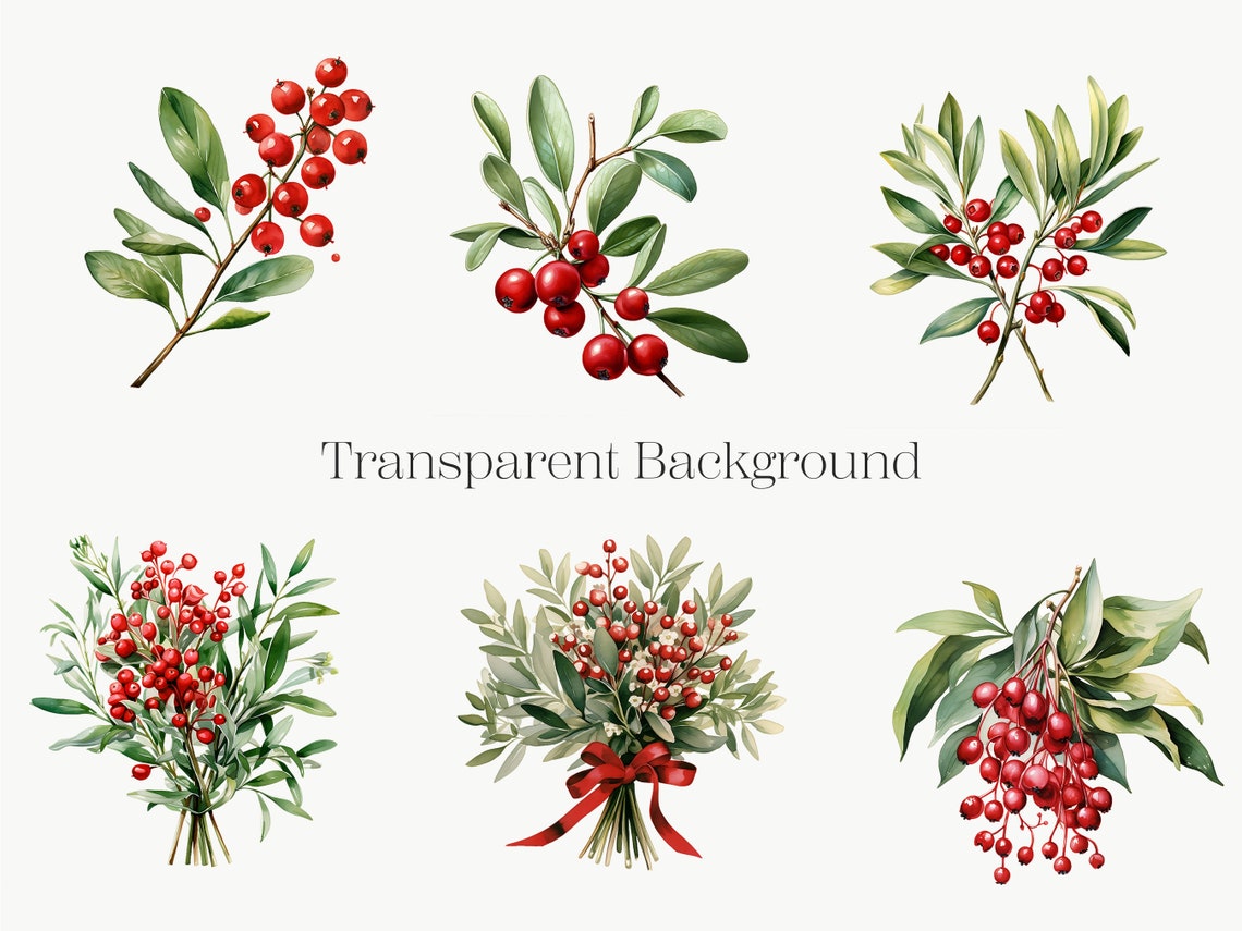 Mistletoe Clipart 10 PNG Watercolor Christmas Flower - Etsy