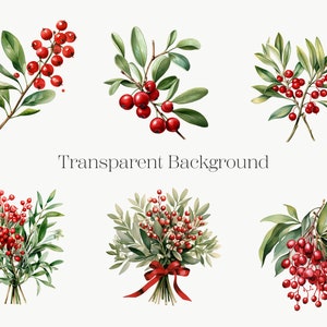 Mistletoe Clipart | 10 PNG | Watercolor Christmas Flower Clipart PNG ...