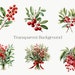Mistletoe Clipart 10 PNG Watercolor Christmas Flower Clipart PNG ...