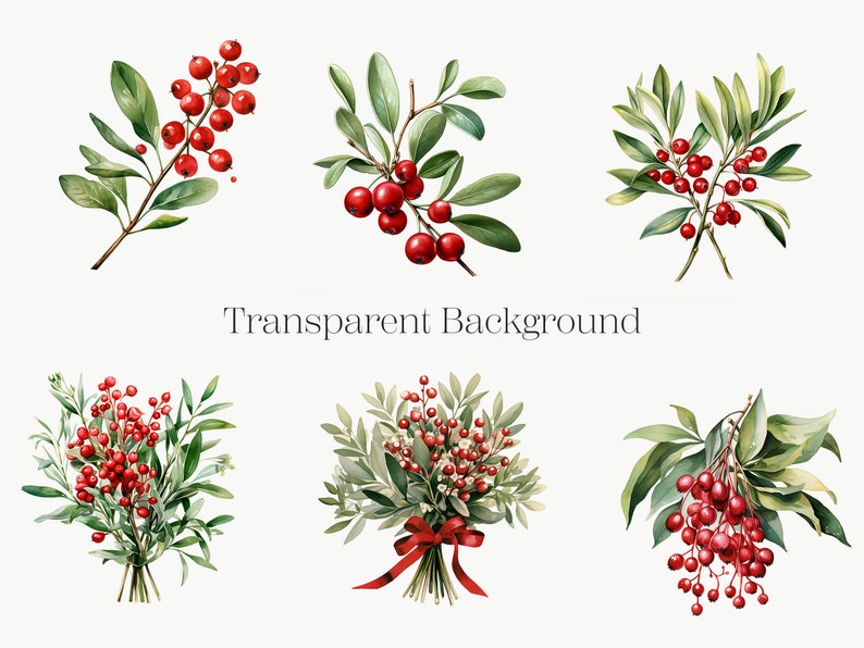 Mistletoe Clipart | 10 PNG | Watercolor Christmas Flower Clipart PNG ...