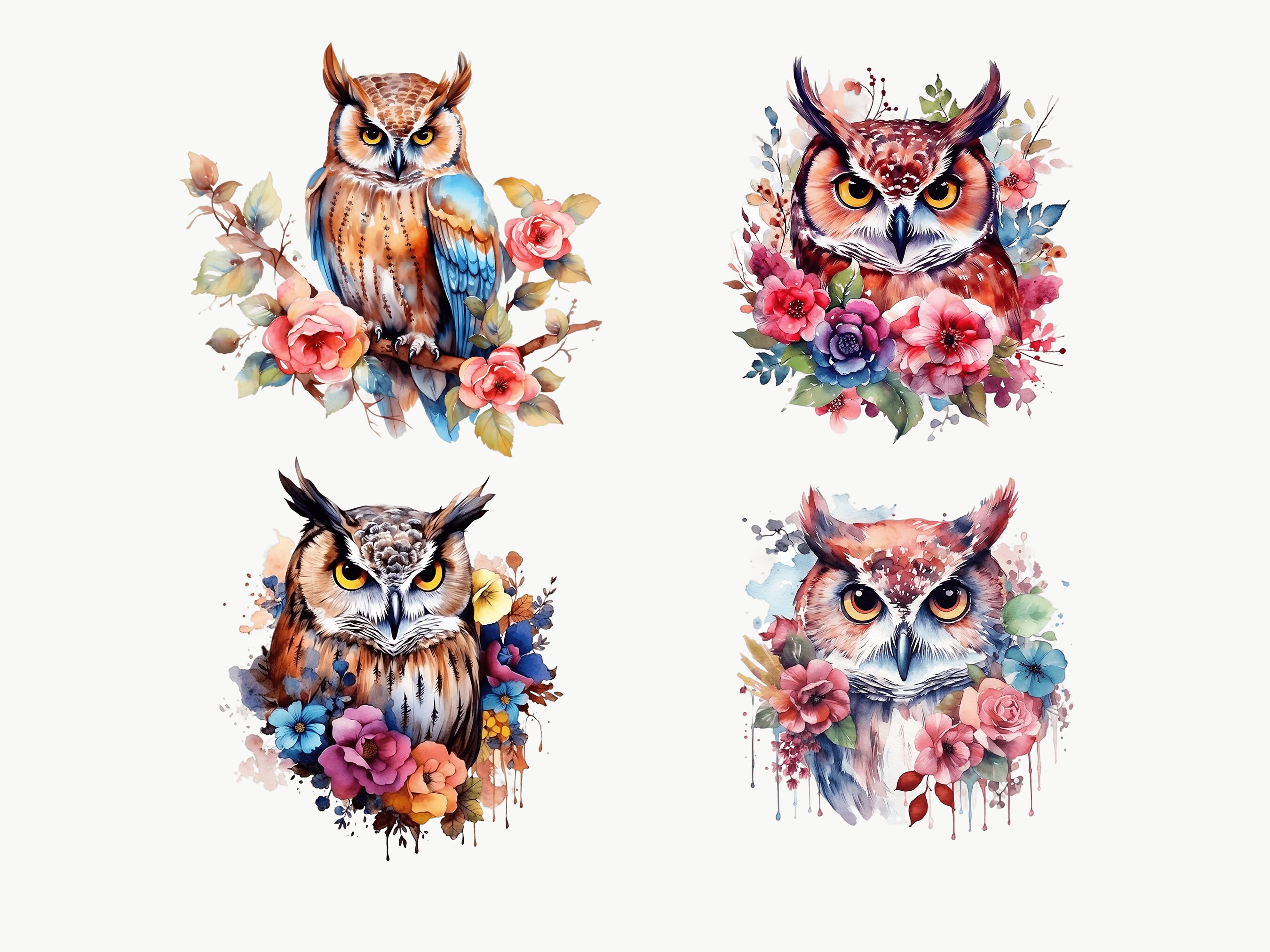Watercolor Owl Clipart | Floral Bird PNG Graphics (digital Download) - Etsy