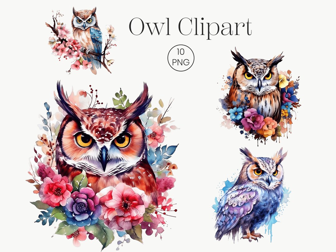 Owl Clipart Colorful Bird With Flowers | 10 High Quality Transparent ...