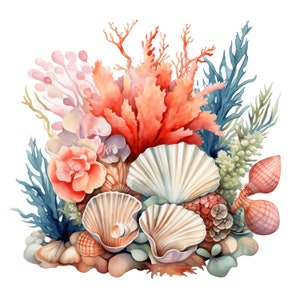 Watercolor Seashell Clipart, 10 Jpg, Coral Reef Seashells Clipart Ocean ...