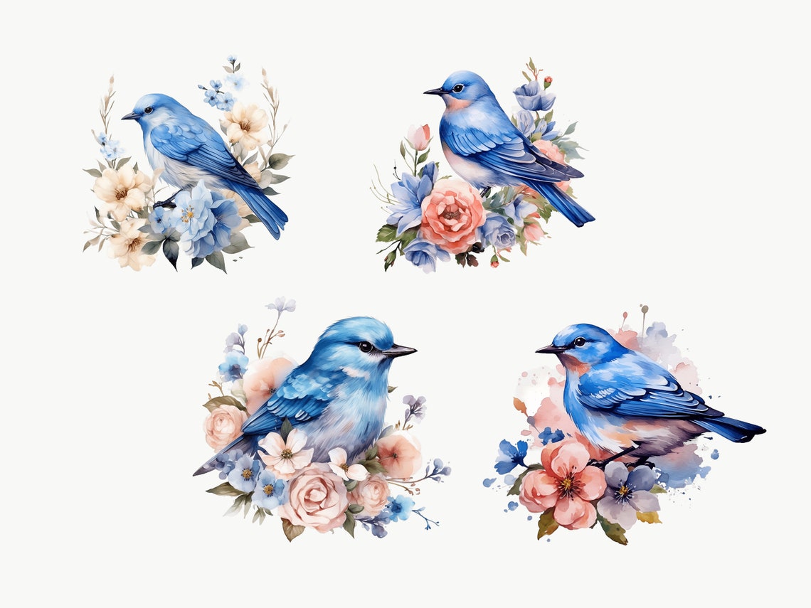 Blue Bird Watercolor Clipart 10 High Quality PNG Card - Etsy