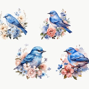 Blue Bird Watercolor Clipart 10 High Quality PNG | Card Making ...
