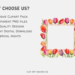 Watercolor Tulips Borders Clipart, 10 PNG Tulip Clipart, Colorful ...
