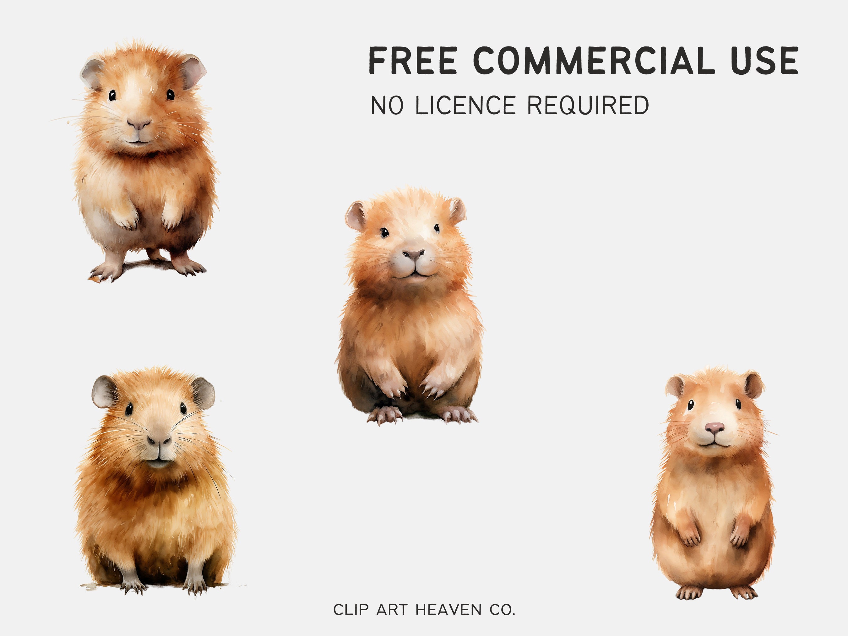 Cute Capybara Clipart 10 PNG Cute Animal With Flowers Floral - Etsy