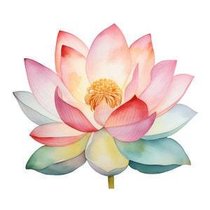 Watercolor Lotus Flower Clipart: Floral Art, Scrapbook Bundle (digital ...