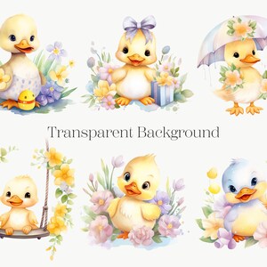 Easter Duck Clipart | 10 Transparent PNG | Spring Clipart, Easter ...