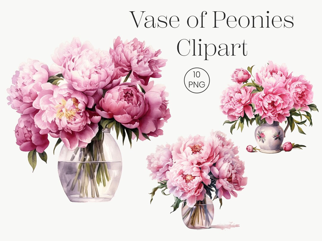 Vase of Peonies Watercolor Clipart | 10 High Quality Transparent PNG ...