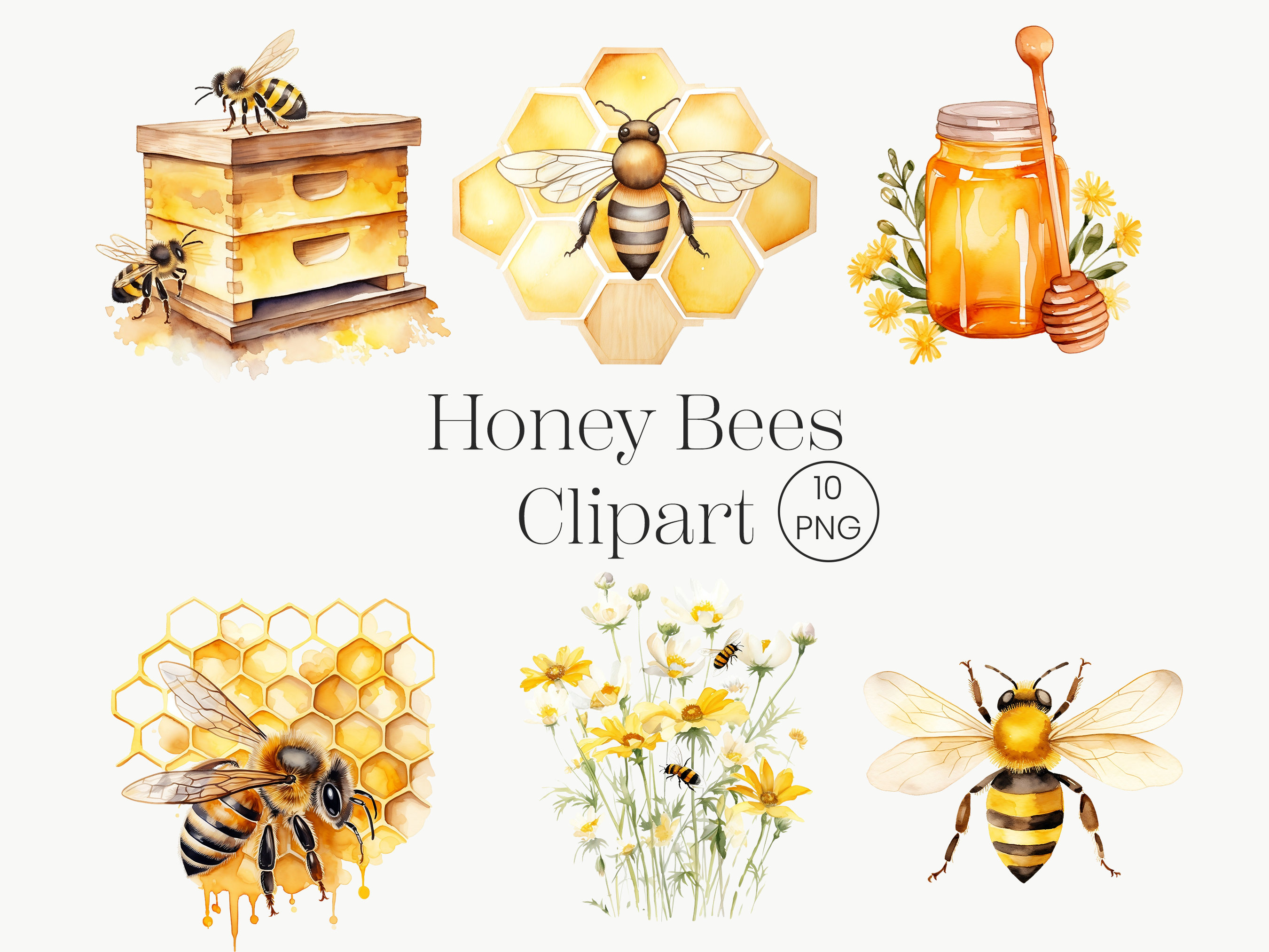 Honey Bee Watercolor Clipart: Honeycomb & Beehive PNG (digital Download ...