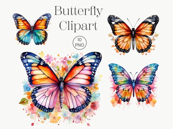 Monarch Butterflies Png