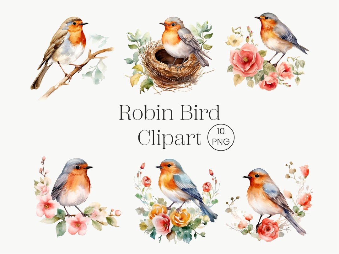 Watercolor Robin Birds Clipart, Spring Birds Clipart, Sublimation ...