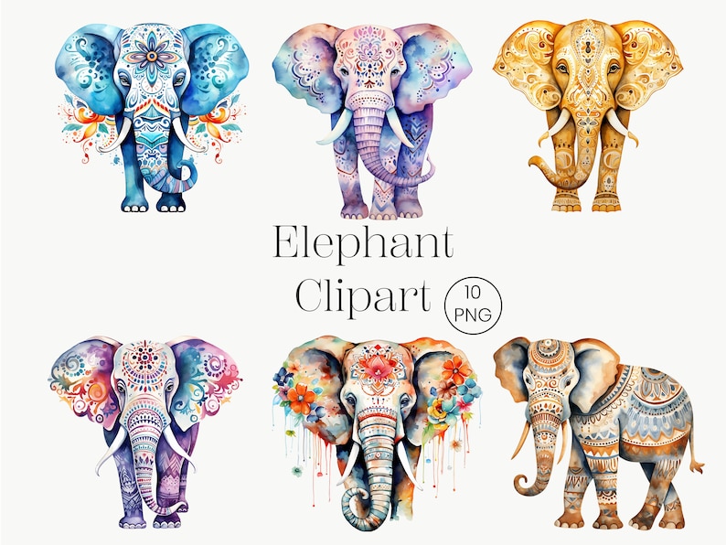 Colorful Elephant Clipart: Intricate PNG Images (10 Files) - Etsy