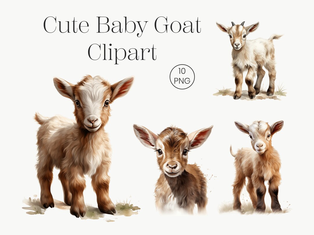 Baby Goat Clipart | 10 Transparent PNG, Digital Download | Farm Animals ...