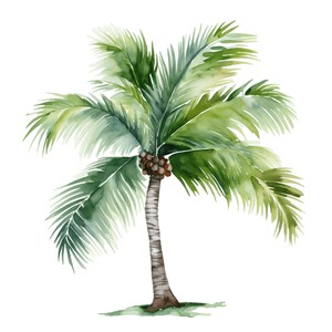 Watercolor Palm Trees Clipart: Tropical Summer Designs (digital ...