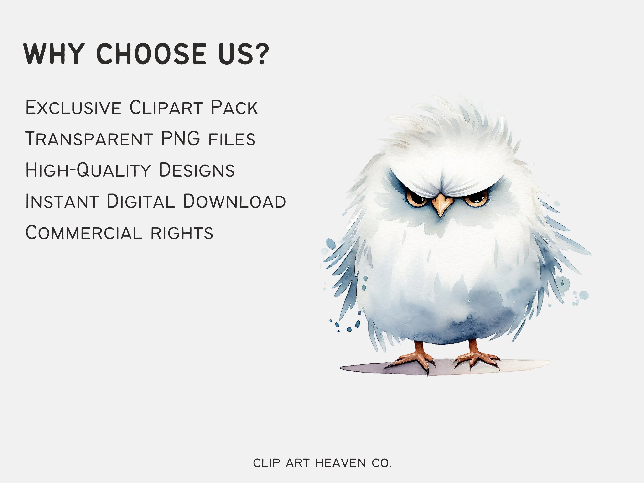 Grumpy Birds Clipart: 10 Watercolor PNG Images (digital Download) - Etsy