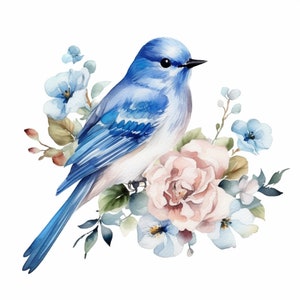 Blue Bird Watercolor Clipart 10 High Quality PNG | Card Making ...