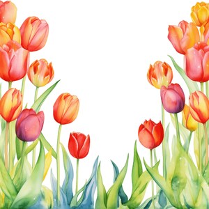 Watercolor Tulip Clipart Borders: Spring Floral Frames (JPG Digital ...