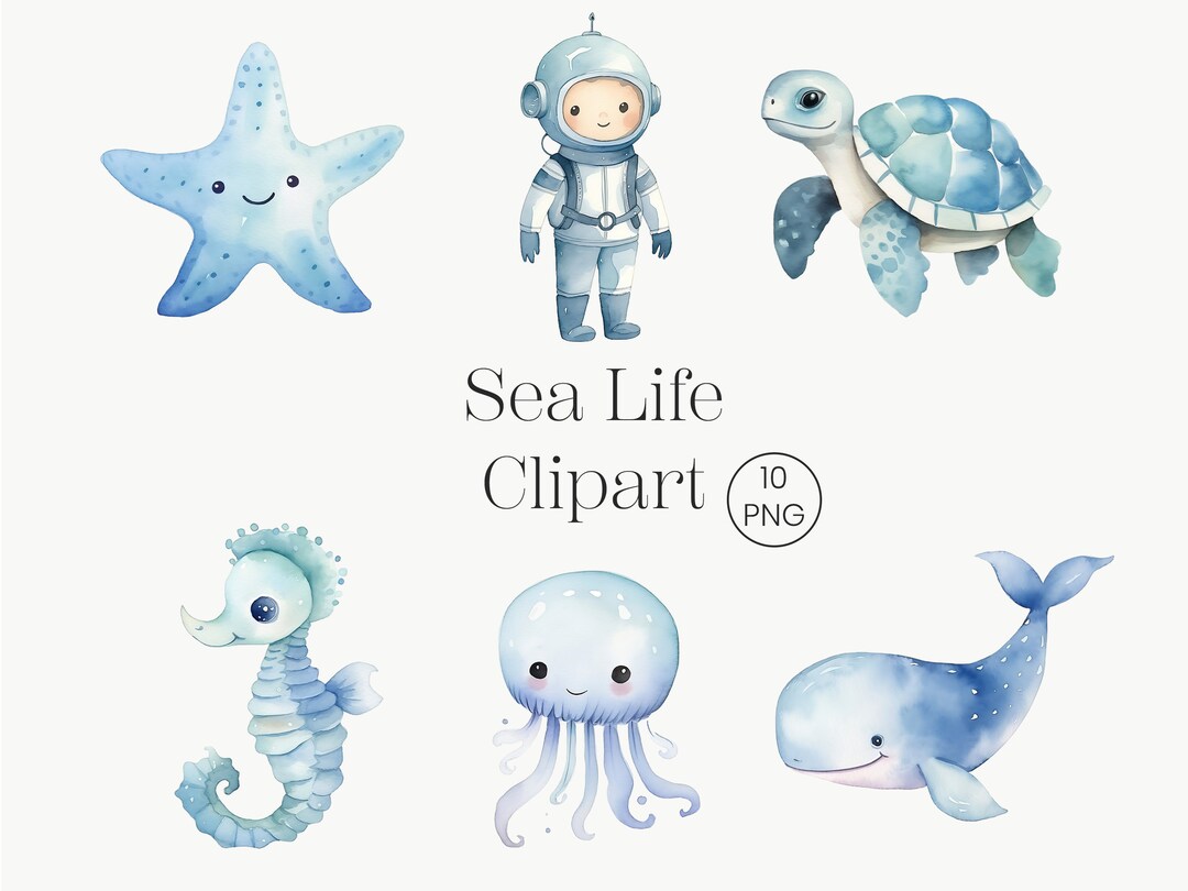 Under the Sea Watercolor | 10 PNG | Baby Boy Nautical Clip Art Baby ...