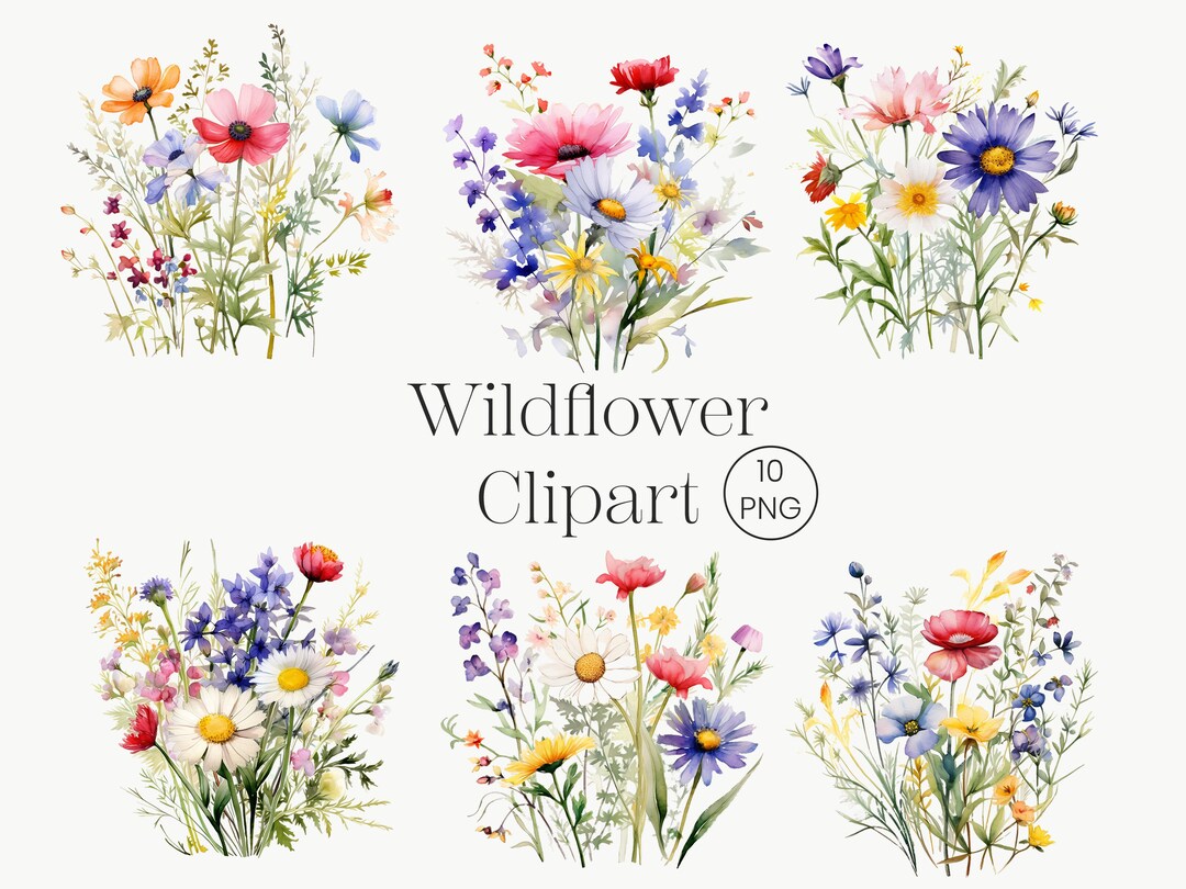 Wildflower Clipart | 10 PNG | Wildflower Digital Download Spring ...