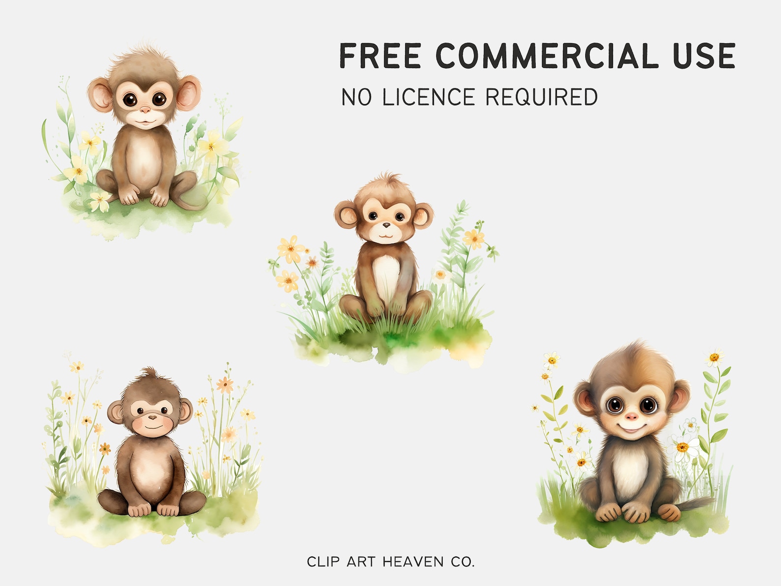 Cute Monkey Baby Clipart 10 PNG Floral Animal Clipart Monkey for ...