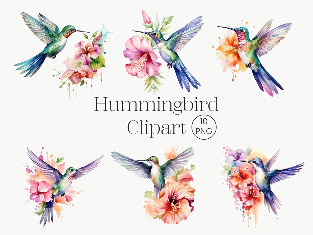 Watercolor Hummingbird Clipart 10 PNG Colorful Bird, Floral Bird ...