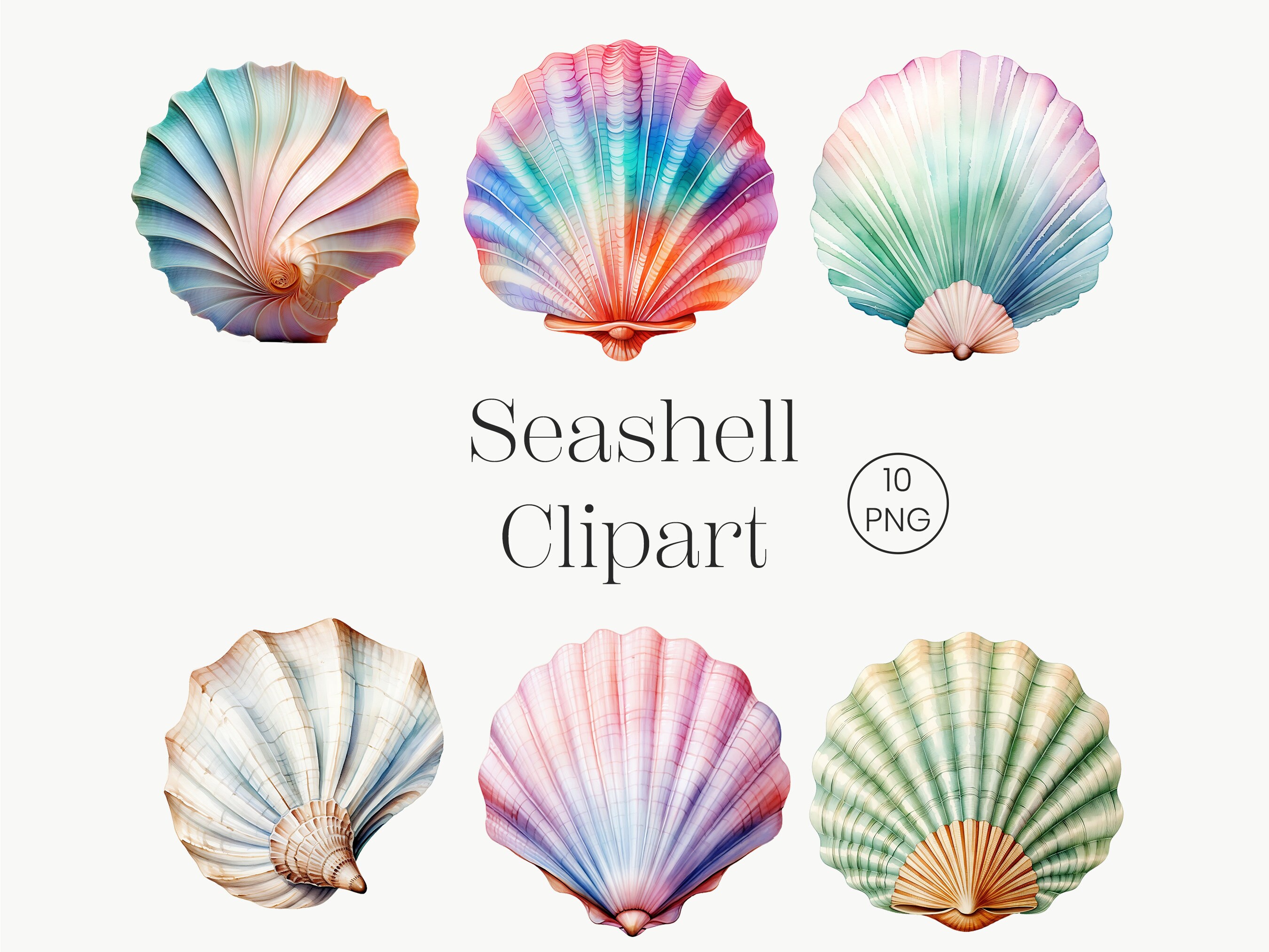 Watercolor Sea Shells Clipart 10 PNG Seashell Clipart, Nautical Clipart ...