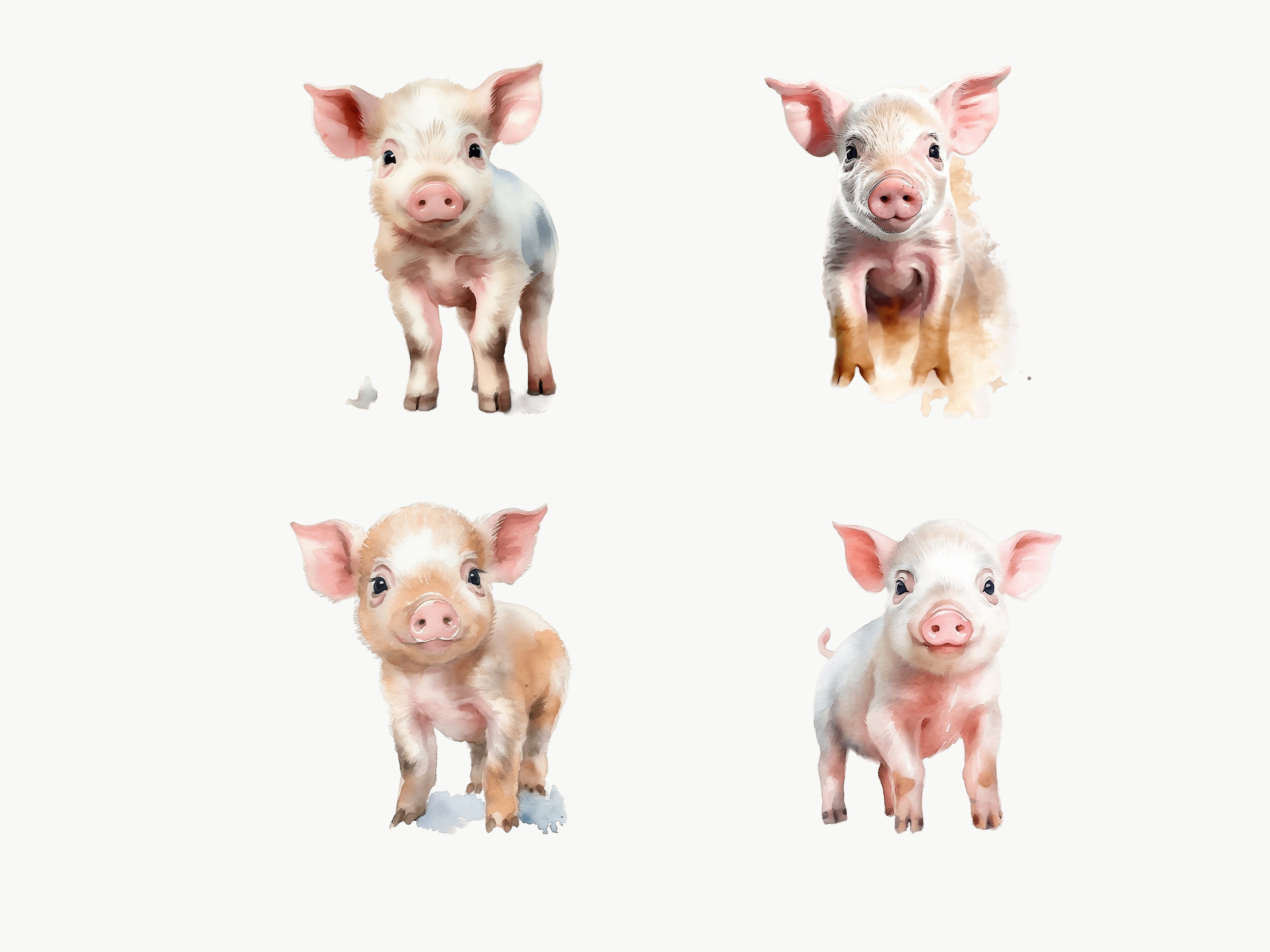 Watercolor Piglet Clipart | Farm Animal PNG Graphics (digital Download ...