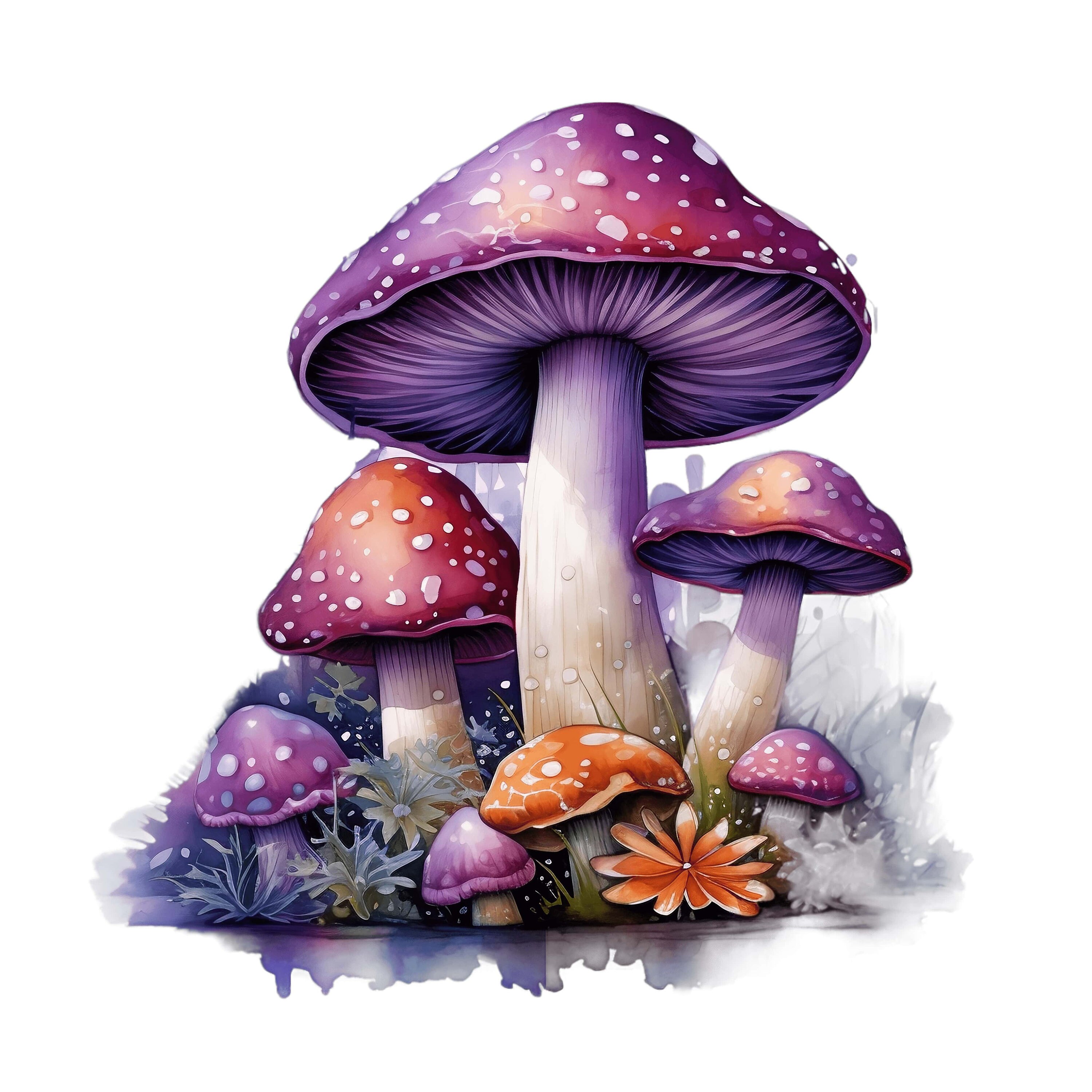 Colorful Mushroom Clipart 10 High Quality JPG Mushroom - Etsy