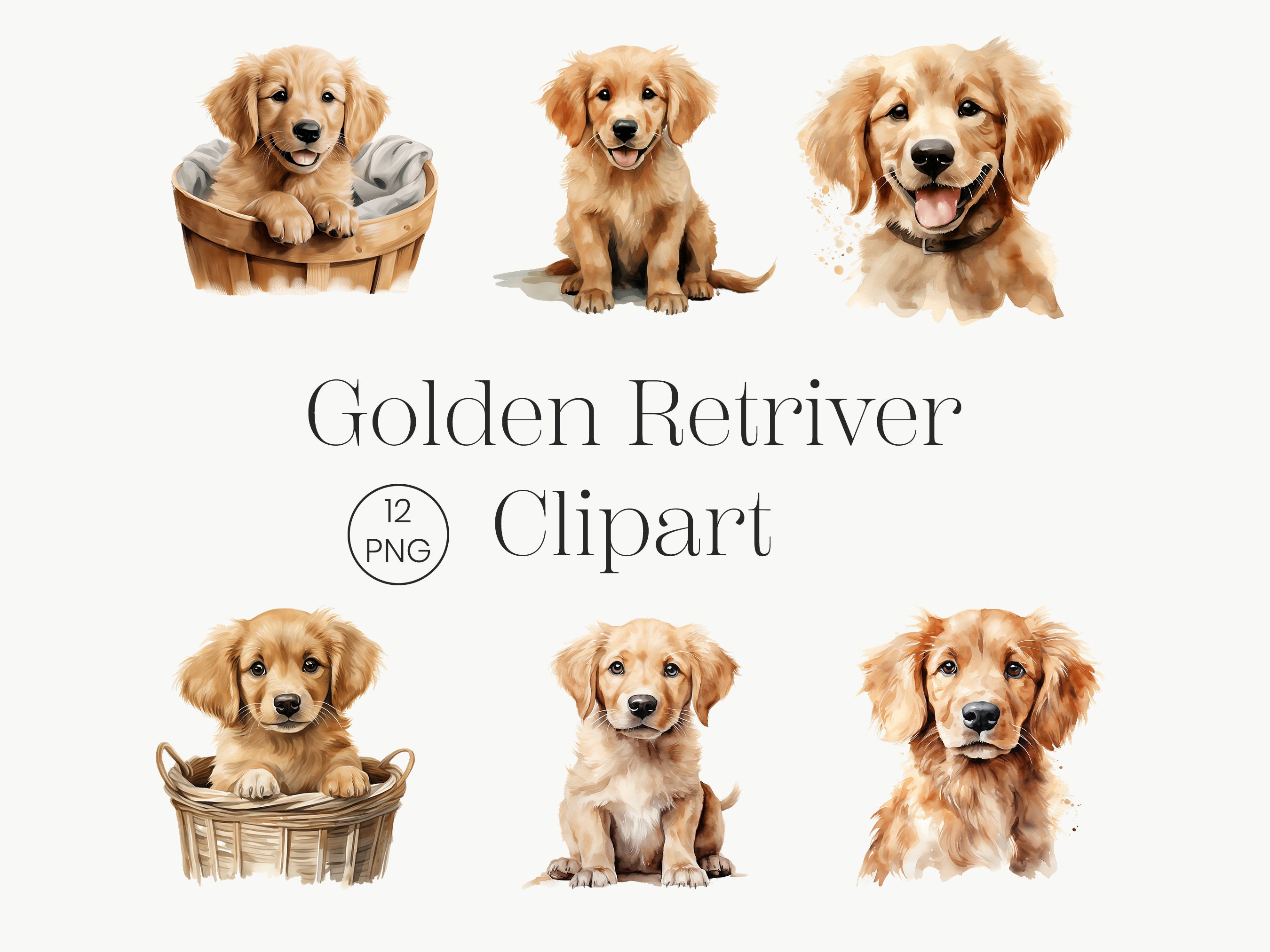 Golden Retriver Puppy Clipart 12 High Quality PNG Cute Dog - Etsy