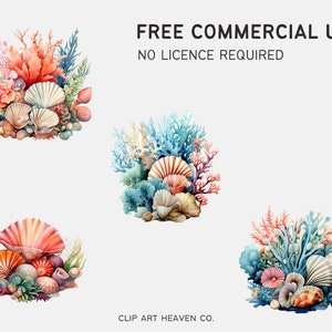 Watercolor Seashell Clipart, 10 Png, Coral Reef Seashells Clipart Ocean ...