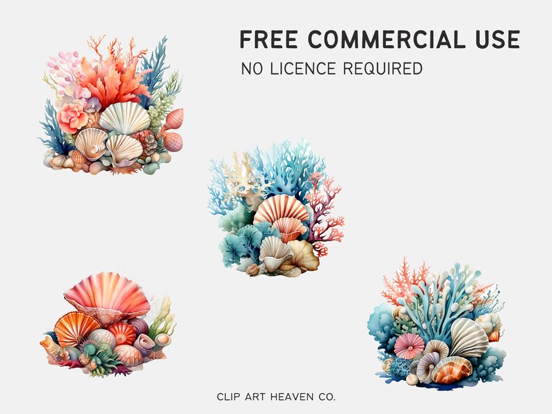 Watercolor Seashell Clipart, 10 Png, Coral Reef Seashells Clipart Ocean ...