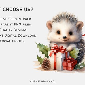 Christmas Hedgehog Clipart, 10 PNG, Watercolor Christmas Clipart ...