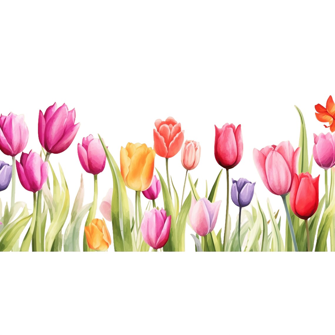 Watercolor Tulip Clipart Borders: Spring Floral Frames (JPG Digital ...