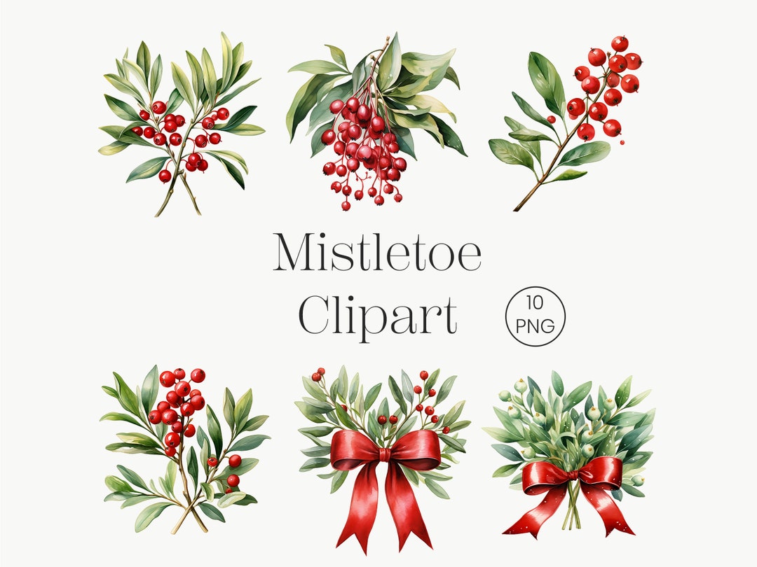 Mistletoe Clipart | 10 PNG | Watercolor Christmas Flower Clipart PNG ...