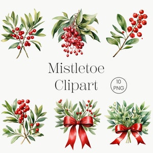 Mistletoe Clipart | 10 PNG | Watercolor Christmas Flower Clipart PNG ...