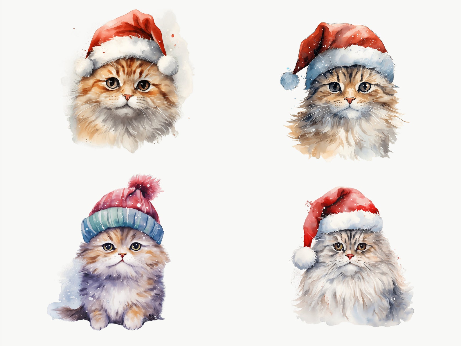 Christmas Cat Clipart Christmas Clipart, Watercolor Christmas Cat PNG ...