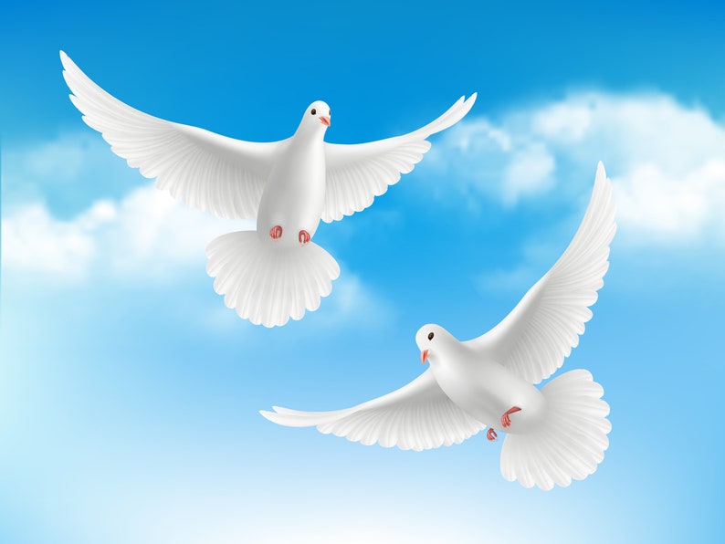 Two White Doves - Etsy
