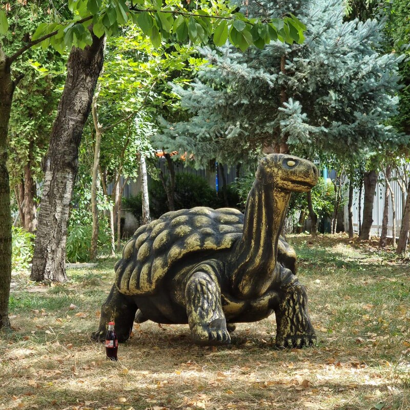 Large Garden Turtle Statue - Etsy