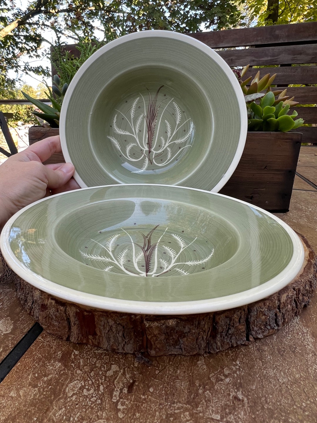 Vintage Susie Cooper China With Chinese Fern Pattern Pair of Bowls - Etsy