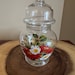 Vintage Libby Christmas Ginger Jar/poinsettia Motif Small - Etsy