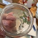Vintage Libby Christmas Ginger Jar/poinsettia Motif Small - Etsy
