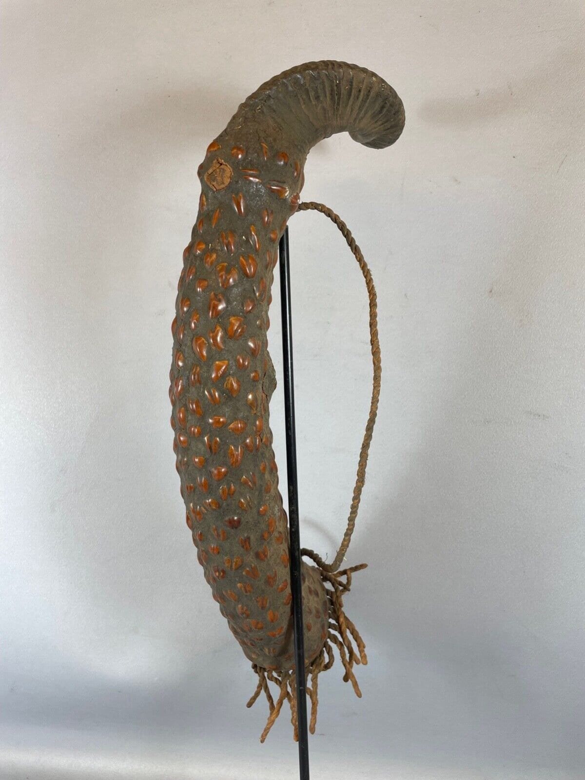 230465 Old African Bamun Music Instrument Cameroon. - Etsy