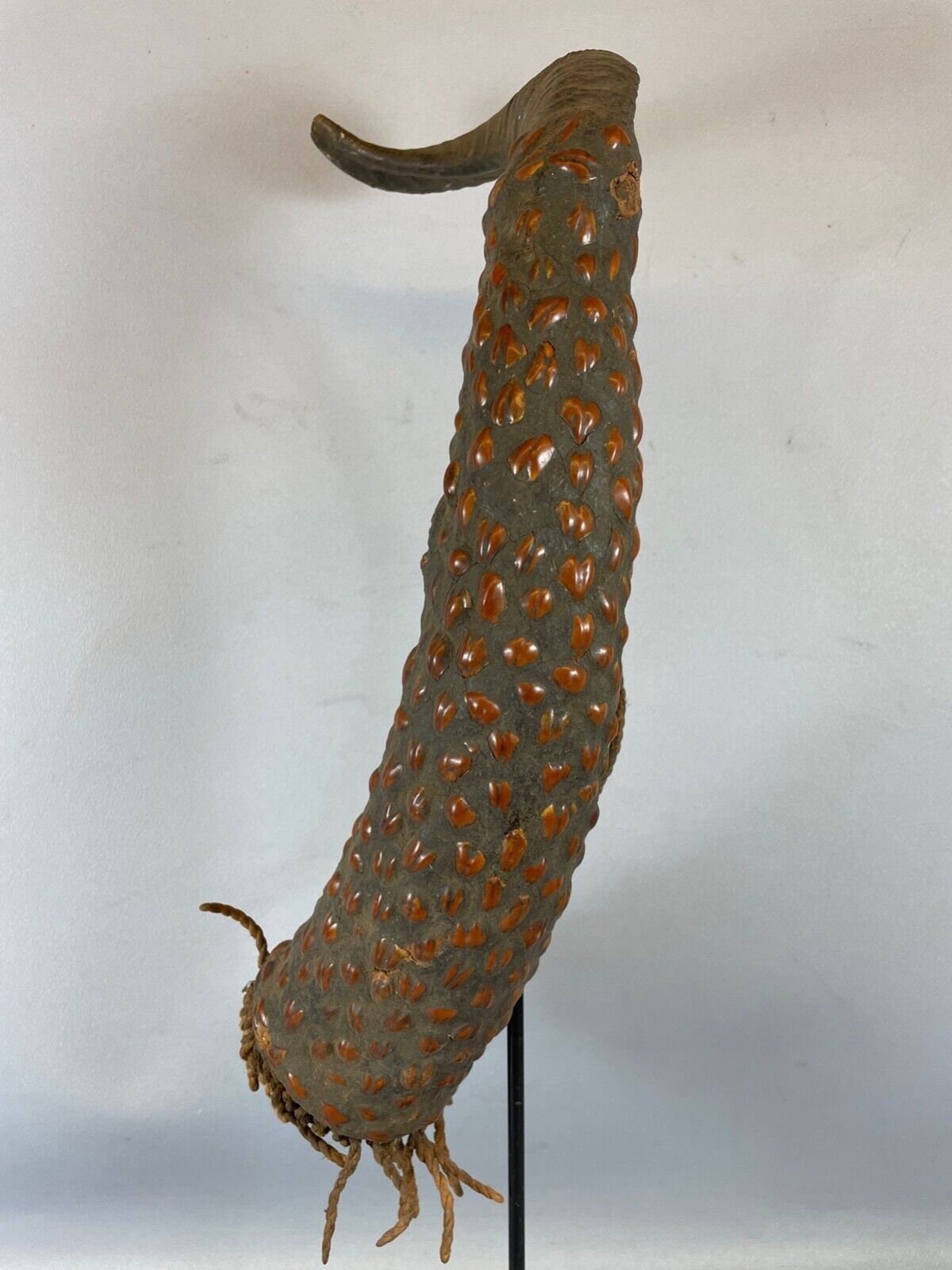 230465 Old African Bamun Music Instrument Cameroon. - Etsy