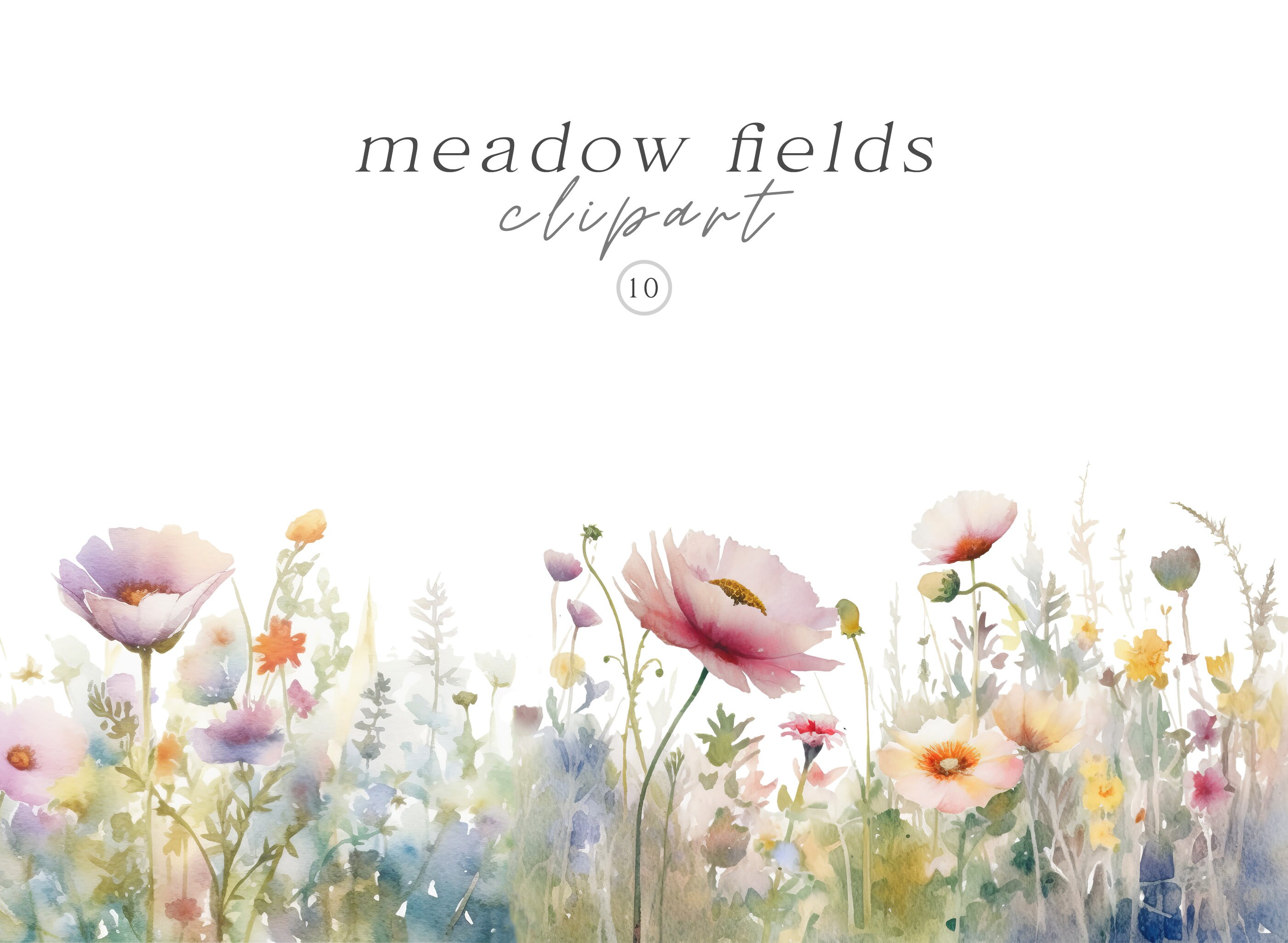 10 JPG Meadow Fields Border Watercolor Floral Clipart - Etsy