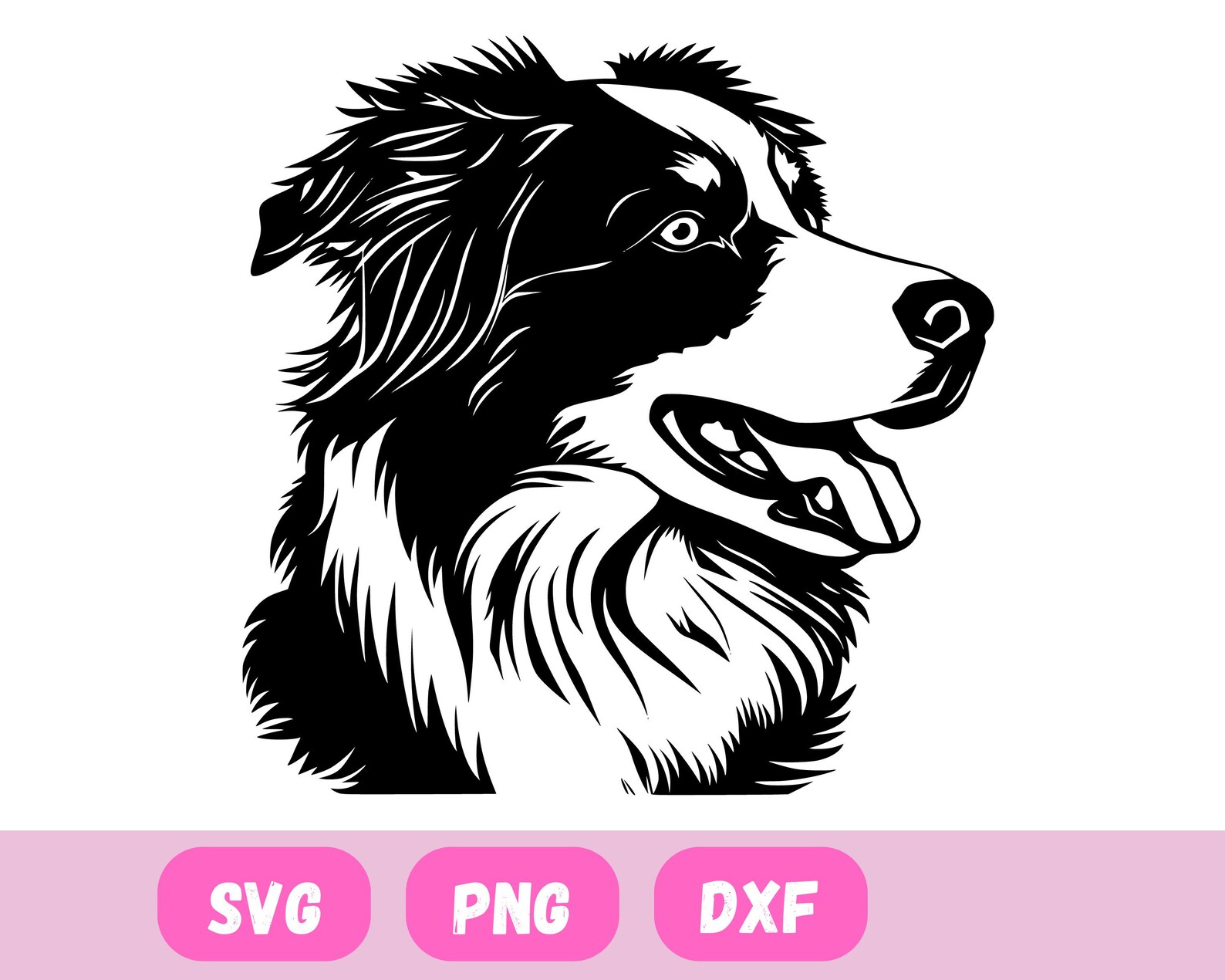 Border Collie, Dog Svg, Dog Face Svg, Dog Silhouette, Pet Dog Svg, Dog ...